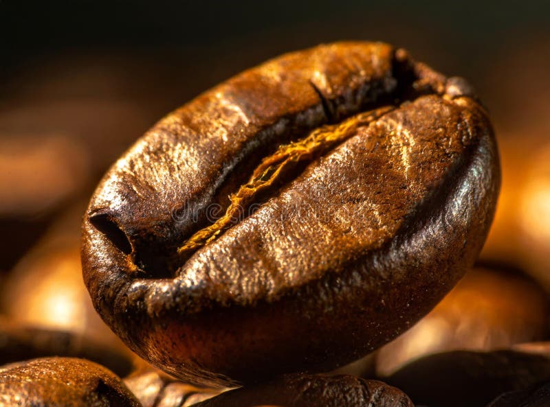 Macro Photo of a Coffee Bean Stock Illustration - Illustration of bean ...