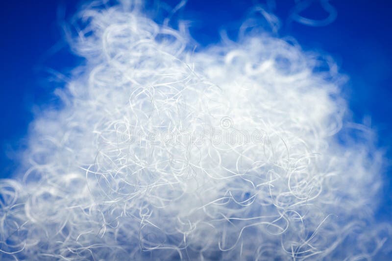 Extreme Macro of Polyester Stable Fiber on Blue Background Stock Image ...