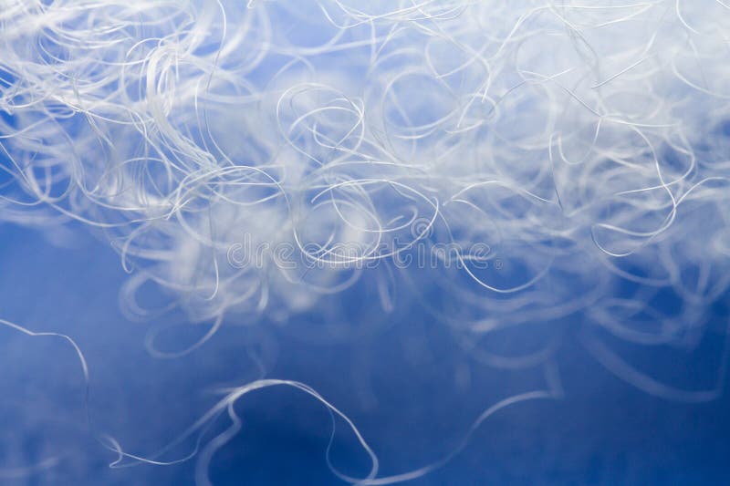 Extreme Macro of Polyester Stable Fiber on Blue Background Stock Image ...