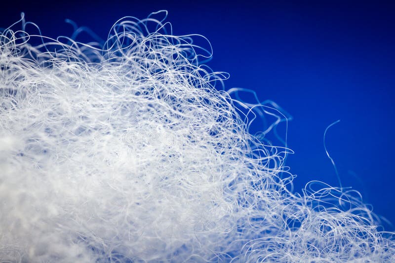 Extreme Macro of Polyester Stable Fiber on Blue Background Stock Photo ...