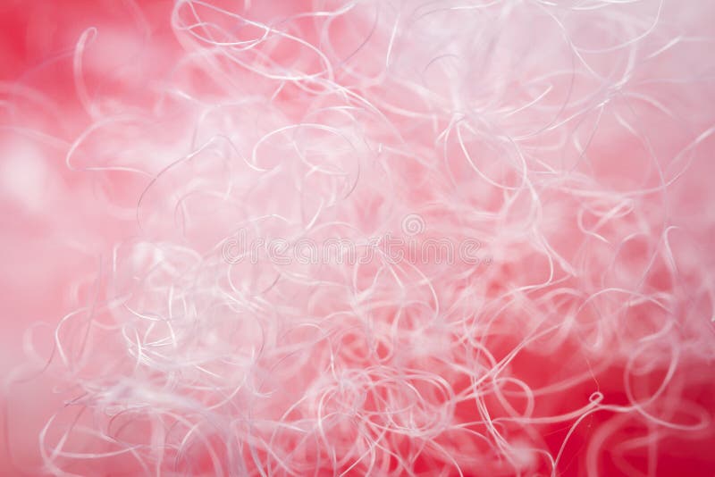 Extreme Macro of Polyester Stable Fiber on Red Background Stock Image ...