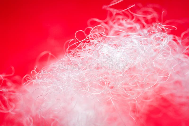 Extreme Macro of Polyester Stable Fiber on Red Background Stock Image ...