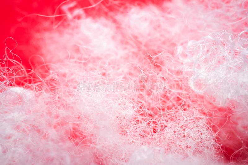 Extreme Macro of Polyester Stable Fiber on Red Background Stock Photo ...