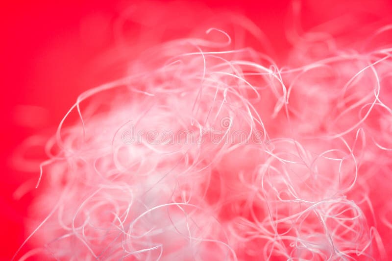 Extreme Macro of Polyester Stable Fiber on Red Background Stock Image ...