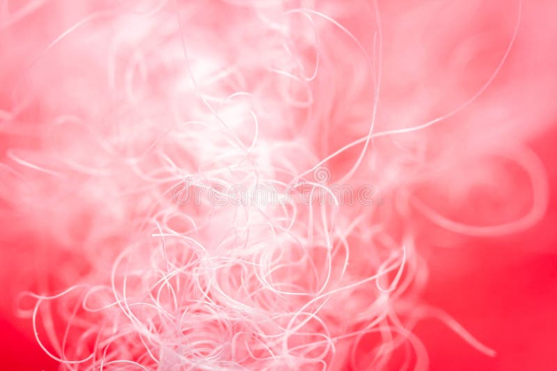 Extreme Macro of Polyester Stable Fiber on Red Background Stock Image ...