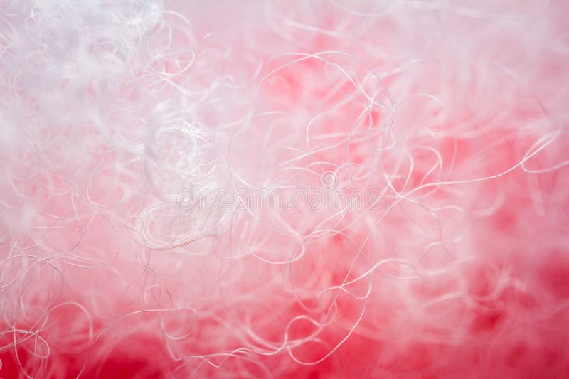 Extreme Macro of Polyester Stable Fiber on Red Background Stock Image ...