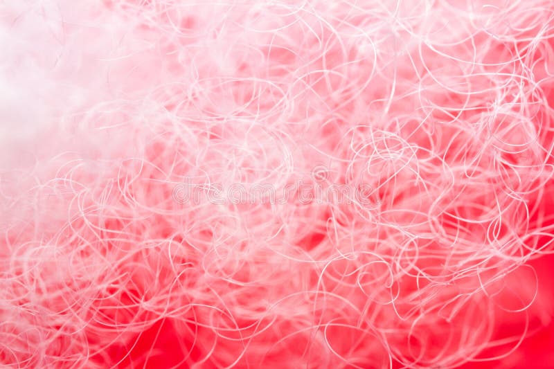 Extreme Macro of Polyester Stable Fiber on Red Background Stock Image ...