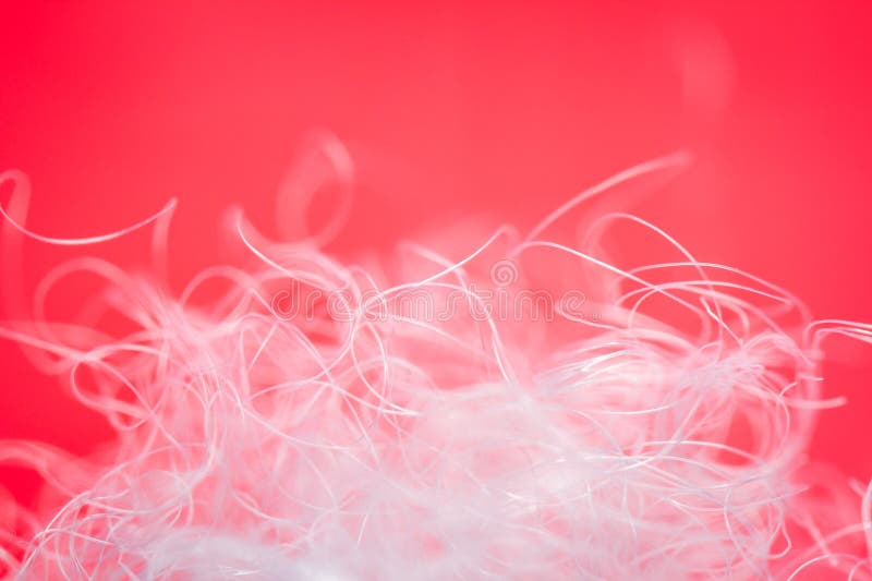 Extreme Macro of Polyester Stable Fiber on Red Background Stock Image ...