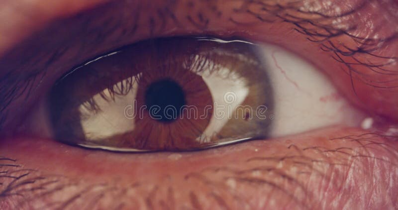 Man S Brown Human Eye of a Man Stock Video - Video of eyelid, people ...