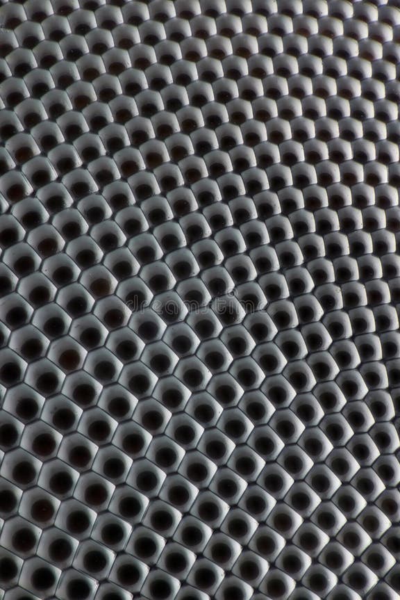 Extreme Magnification - Fly Compound Eye at Microscope, 50x ...