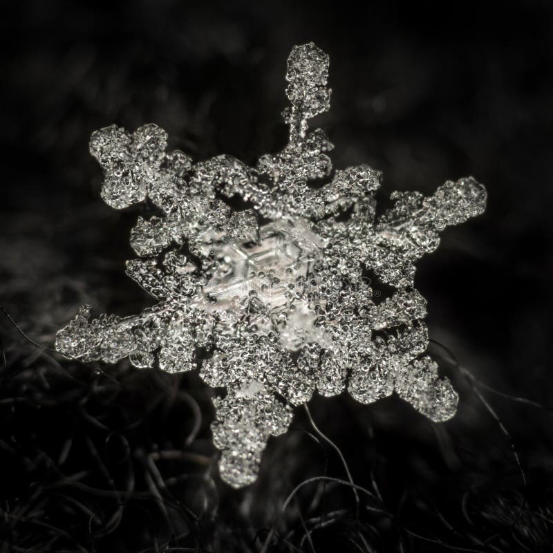 Extreme Magnification - Real Snowflake Stock Image - Image of macro ...