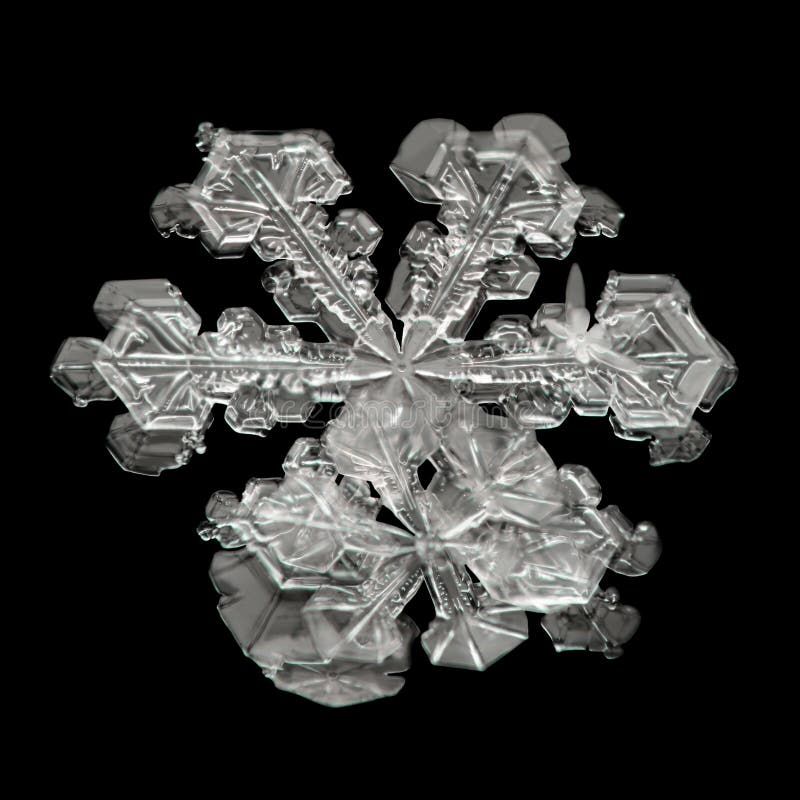 Extreme Magnification - Real Snowflake on Black Background Stock Image ...