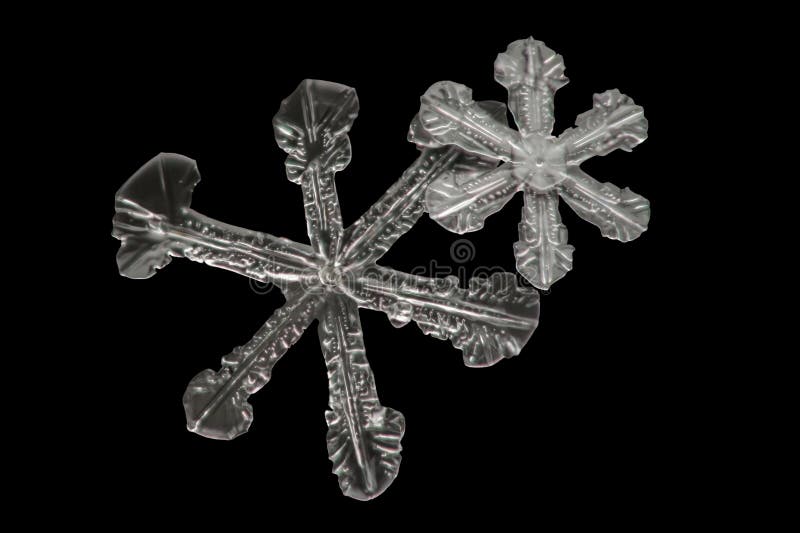 Extreme Magnification - Real Snowflake on Black Background Stock Image ...