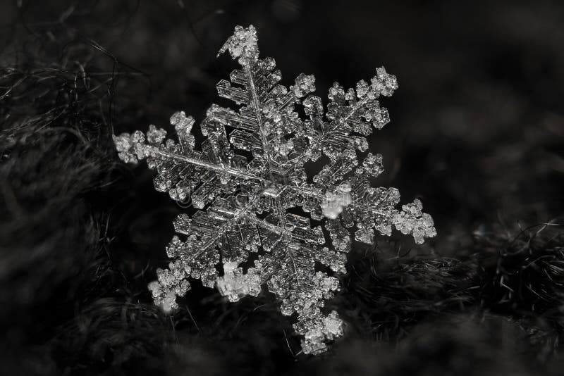 Extreme Magnification - Real Snowflake Stock Photo - Image of crystal ...