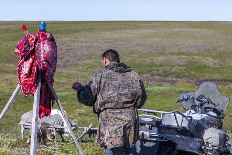 The Extreme North, the Preparation of Deer Meat, Remove the Hide from ...