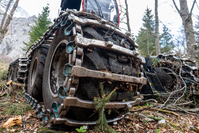 Extreme Off-road Heavy Logging Machinery Stock Photo - Image of ...