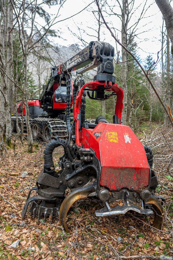Extreme Off-road Heavy Logging Machinery Stock Photo - Image of ...