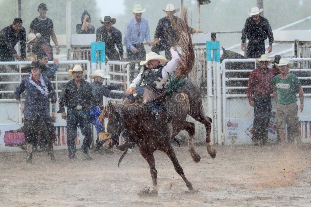 Extreme Rodeo editorial stock image. Image of muddy, bucking - 25923479