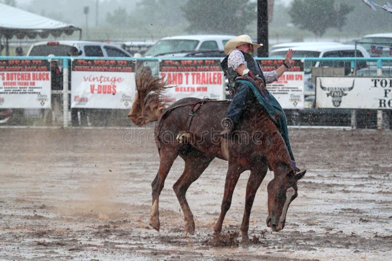 Extreme Rodeo editorial stock image. Image of equestrian - 25923539