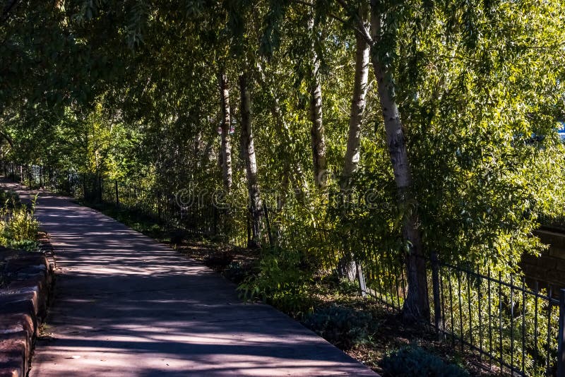 Extreme Shade stock photo. Image of season, green, leaves - 258924762