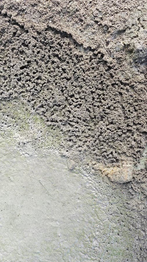 Extreme Tiny Fire Ant Maze Pattern Nest by the Dried Puddle Ground ...