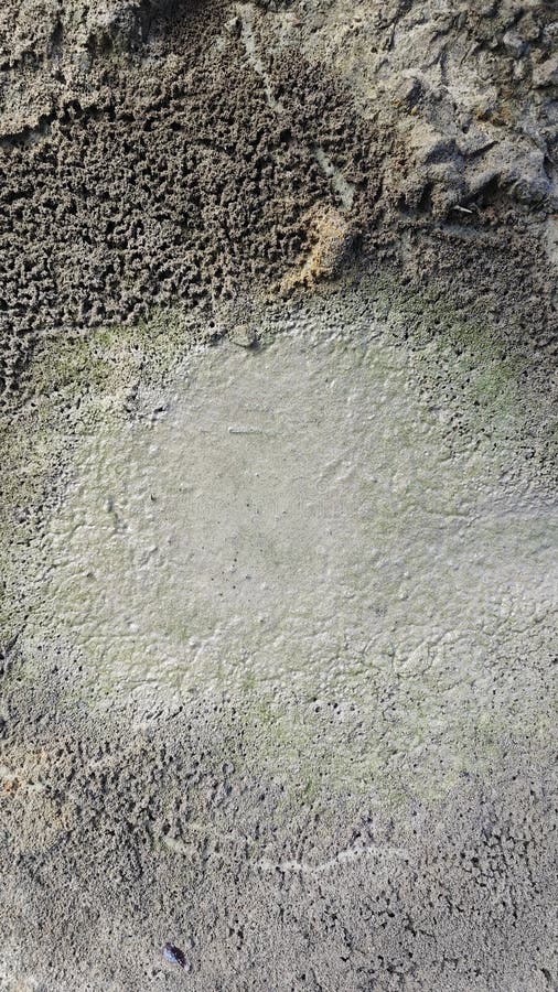 Extreme Tiny Fire Ant Maze Pattern Nest by the Dried Puddle Ground ...