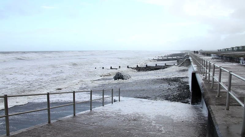 Extreme Weather - Wind through Tree Branches Stock Video - Video of ...