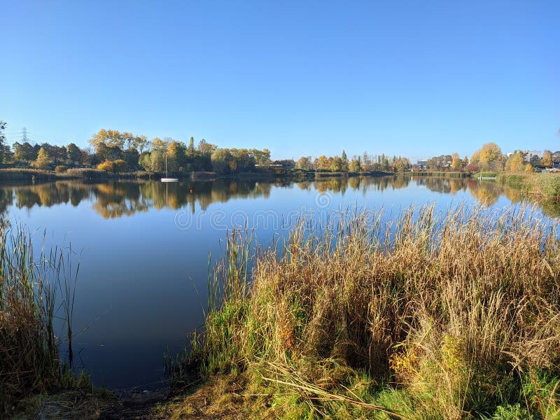 Extremely Beautiful Water and Environment in Contrast To the Blue Sky ...