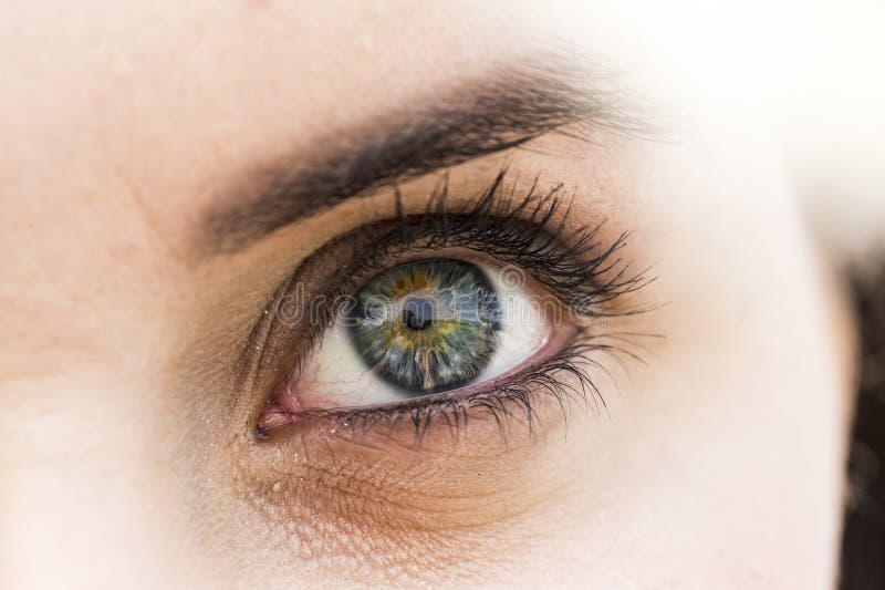 Extremely Close-up Detail of an Eye with a Green Iris, Showcasing ...