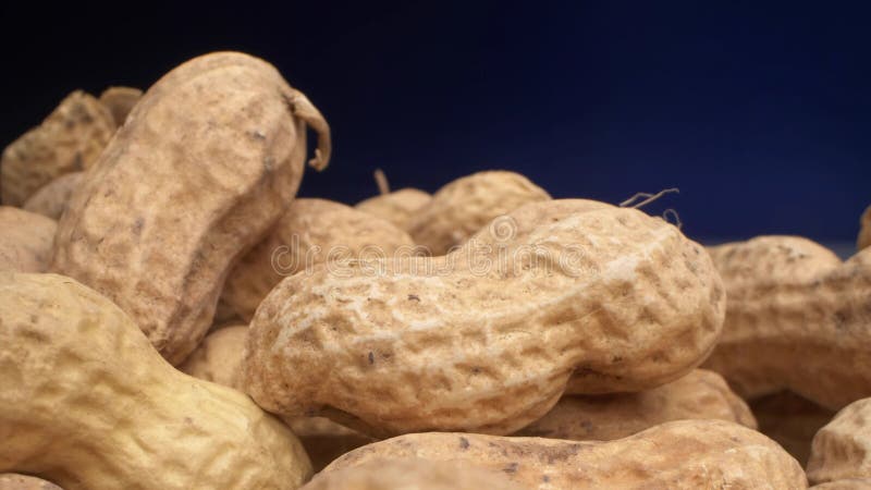Extremely Close-up, Detailed. Peanuts in Shells on a Dark Background ...