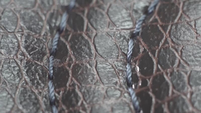 Extremely Close-up of Thread Stitches on Brown Skin Stock Footage ...