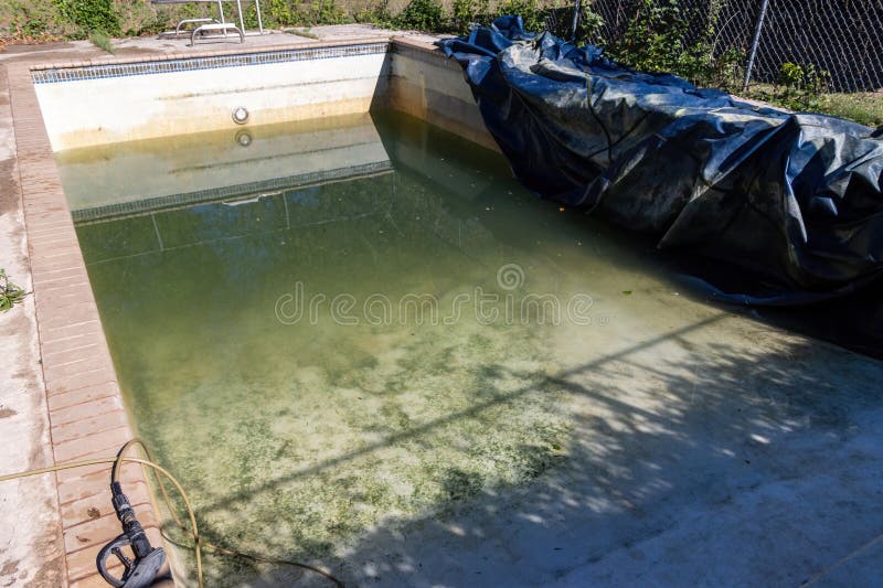 Extremely Dirty Swimming Pool in the Process of Being Cleaned Stock ...