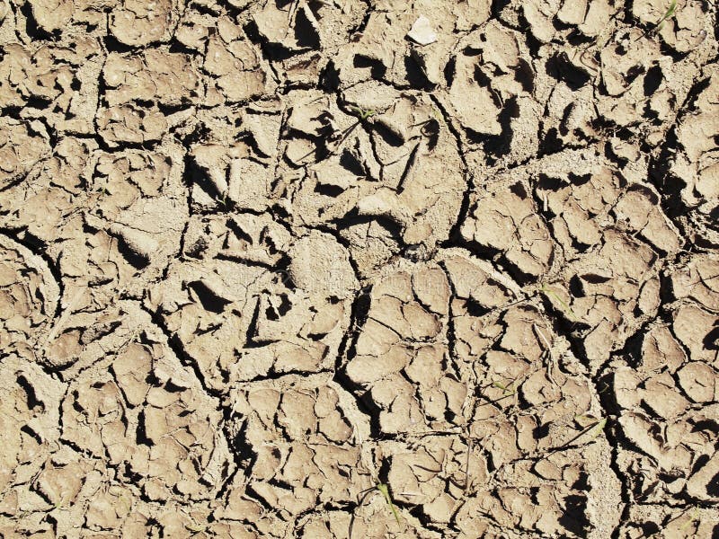 Extremely Dry Cracked Clay of Wheat Field. Dusty Ground with Deep ...