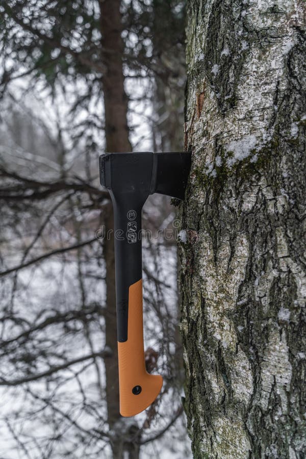 Extremely Sharp Axe in Tree. Russia. Stock Image - Image of tree, sharp ...