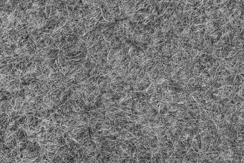 Extruded Hair Felt Closeup Background Texture. Sheep Wool for Felt ...