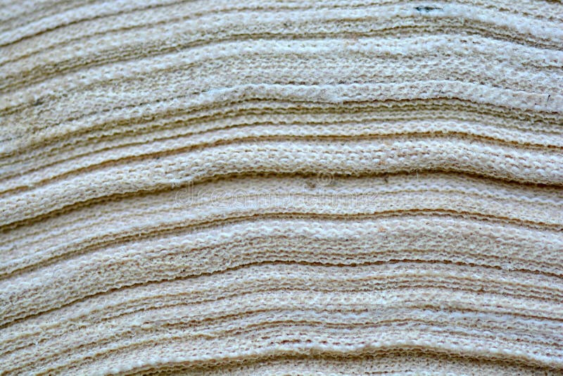 White Extruded Polyethylene Foam Tube Stock Image - Image of industry ...