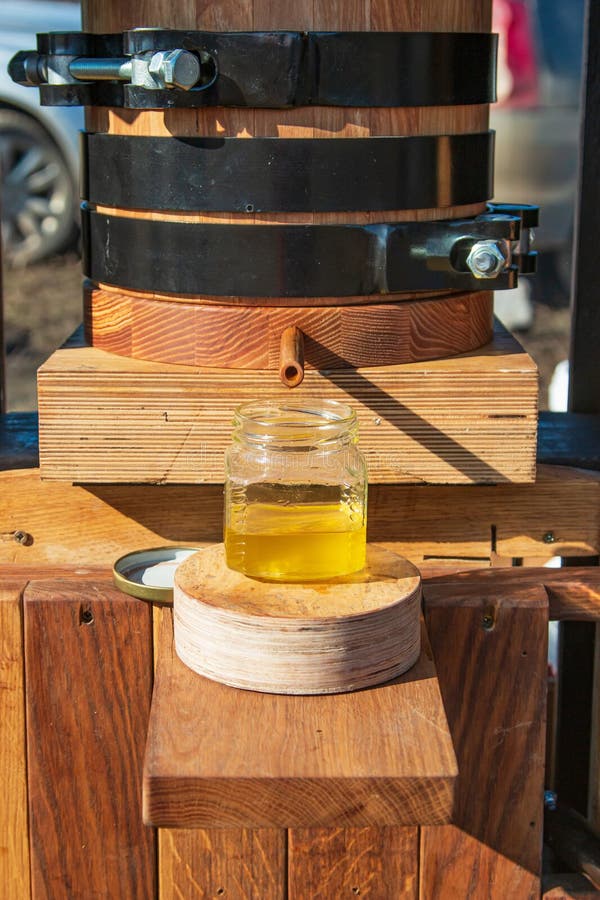 Extrusion of Oil from Sunflower of the First Extraction Stock Image ...