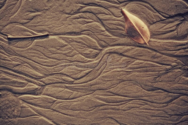 Exture of Wet Sea Sand with Patterns of Water Close Up Stock Photo ...