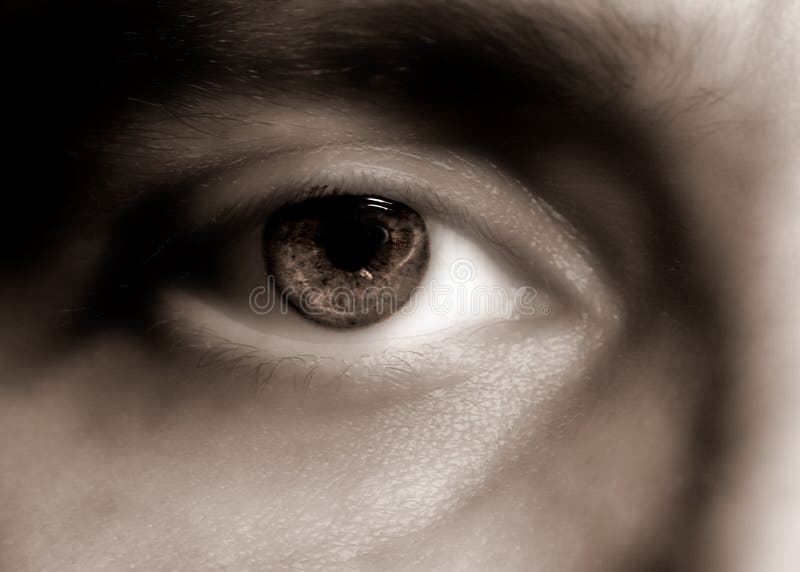 Eye stock photo. Image of vision, shapes, eyes, sepia, sight - 100560