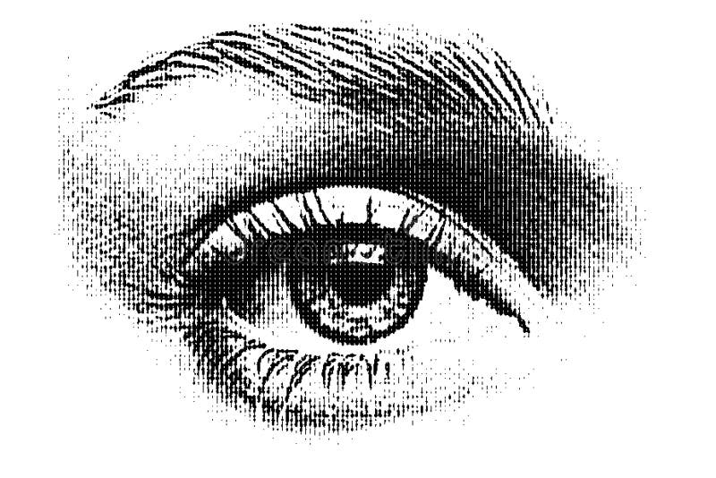 Eye. Realistic Vector Illustration. Hand Drawn Stock Vector ...