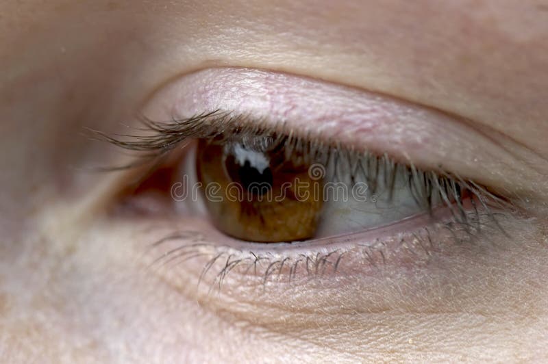 Angry eye stock image. Image of people, young, brown, sight - 9509