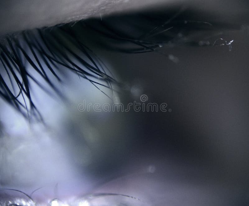 Eye stock photo. Image of defocus, close, green, abstract - 130714