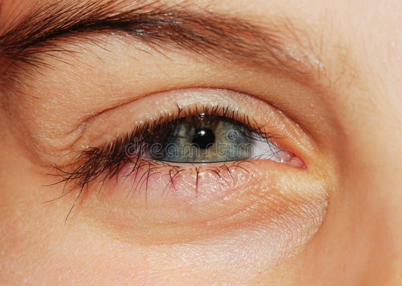 Eye stock photo. Image of brow, child, eyebrow, pupil - 14420522