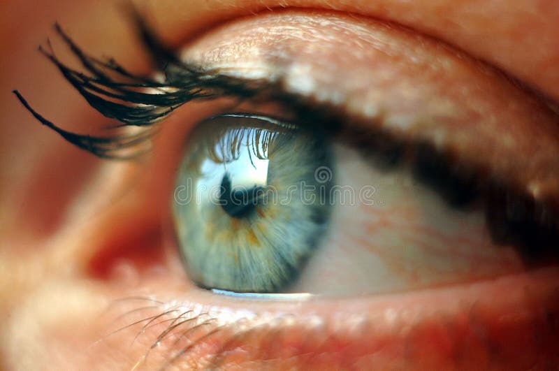 The Eye stock image. Image of brow, digital, staring, colors - 1453647