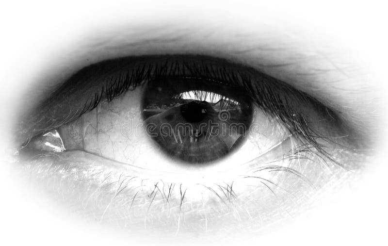 BW reflection eye stock image. Image of white, reflection - 551295