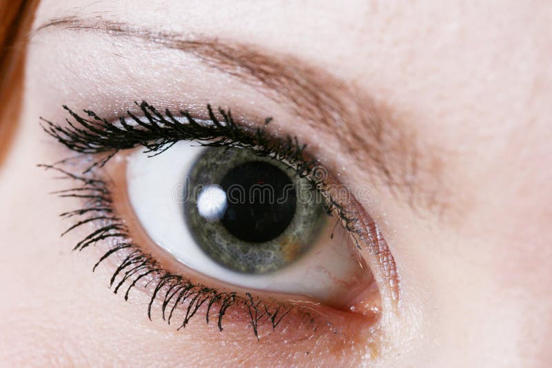 Open eye stock image. Image of observe, eyesight, eyelids - 2405219