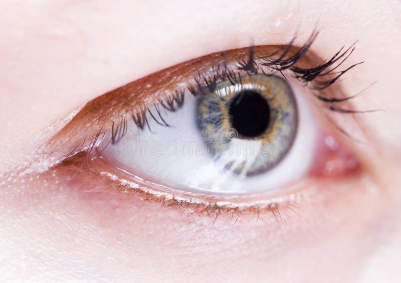 Human Eye stock image. Image of clarity, beautiful, flawless - 9292049