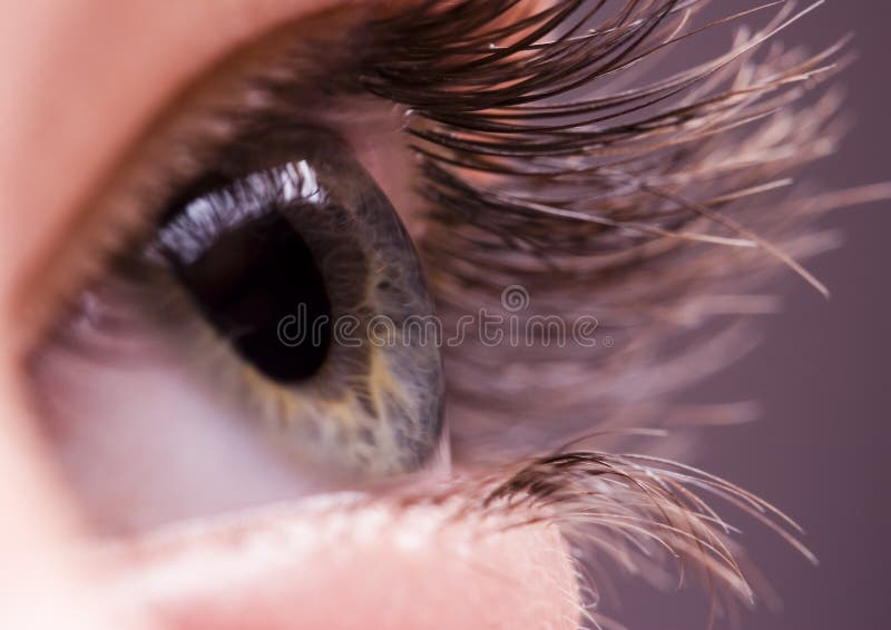Lustful Eyes Stock Photos - Free & Royalty-Free Stock Photos from ...