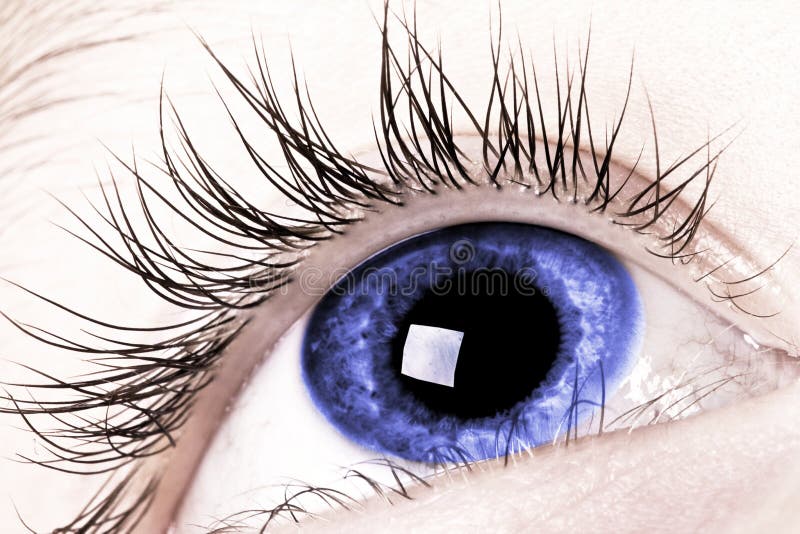 Human eye stock photo. Image of creative, brows, inspiration - 2109618