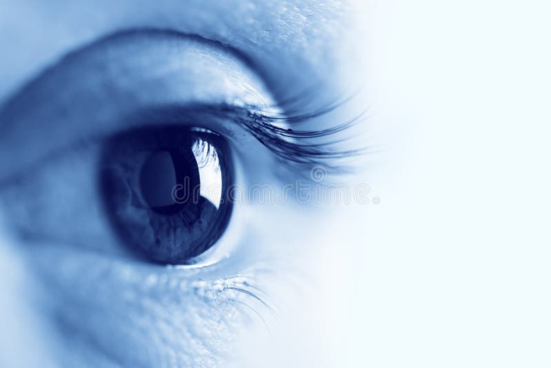 Eye stock photo. Image of healthy, eyelash, lifestyle - 2598270
